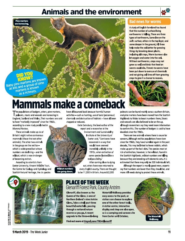 example of magazine article ks2