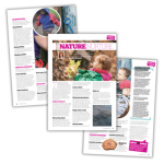 Outdoor learning activities – 20 easy ideas for EYFS - Teachwire