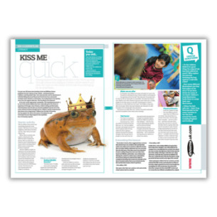 The Frog King – KS1/2 English lesson about Grimms' Fairy Tales - Teachwire