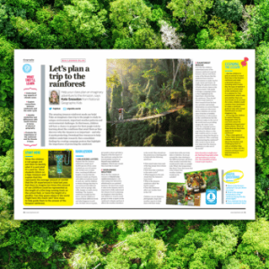 Rainforest KS2 – Imaginary Amazon adventure lesson - Teachwire
