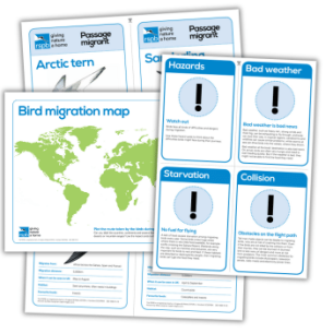 Migration lesson plan – KS1/KS2 activities from RSPB - Teachwire