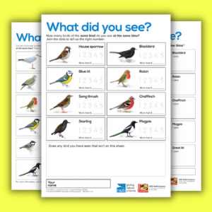 RSPB Birdwatch – 2025 school resources and counting sheets - Teachwire