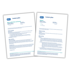 Minibeasts – RSPCA KS1/2 lesson plans and resources - Teachwire