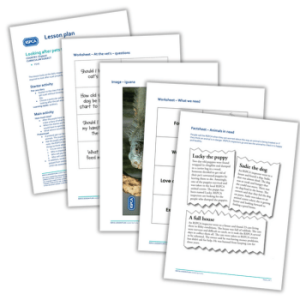 Teaching about pets – Five-lesson RSPCA unit for KS1/2 - Teachwire