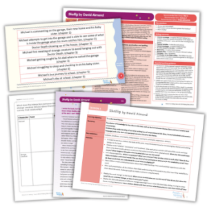 Skellig book – KS2 cross-curricular planning resources - Teachwire