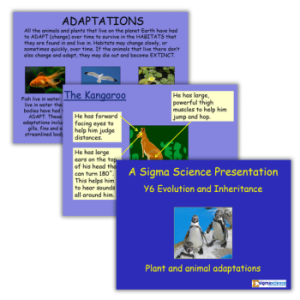 Year 6 evolution and inheritance – Adaptations PowerPoint - Teachwire