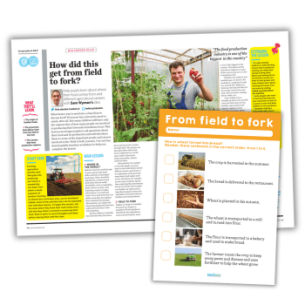 Where does our food come from KS2 – Lesson plan and worksheet - Teachwire