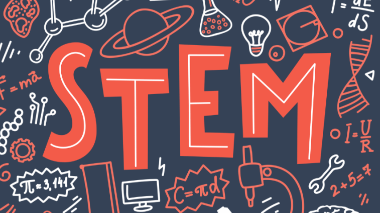 Primary school STEM – 4 hands-on KS1 STEM ideas and activities - Teachwire