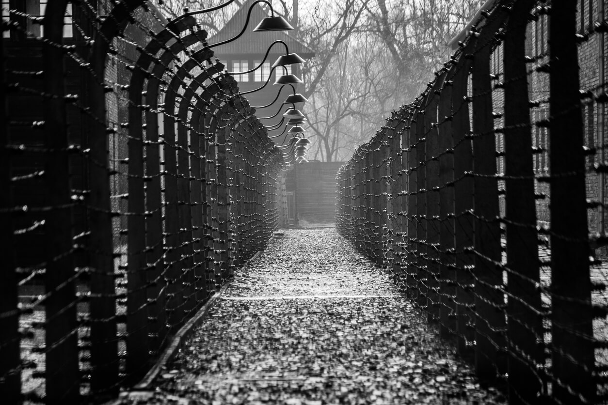 Holocaust Memorial Day 2023 – 12 of the best teaching resources for ...