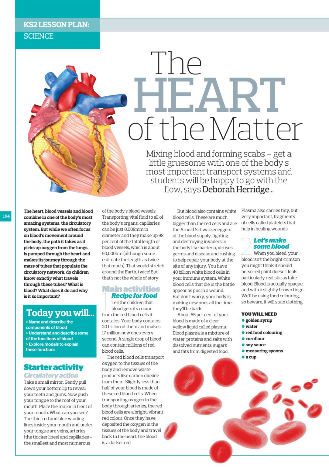 KS2 Science Lesson Plan – Mix Blood And Learn Its Biological Functions ...