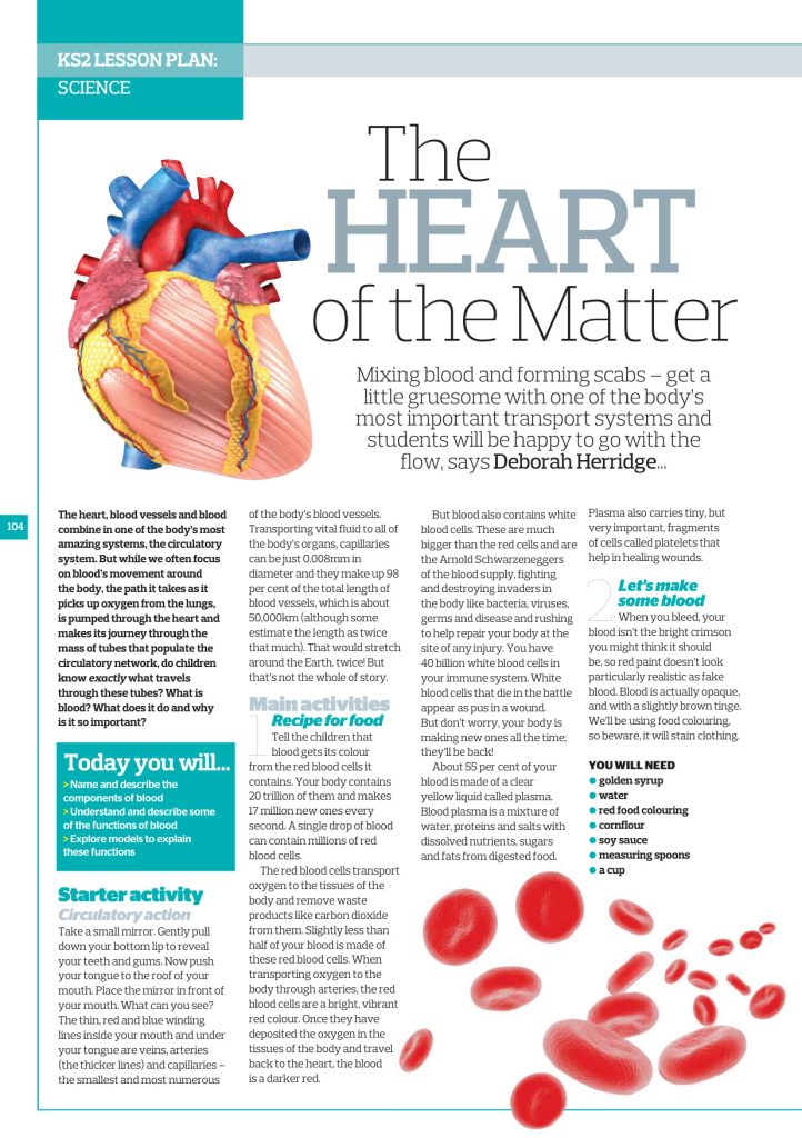 KS2 Science Lesson Plan – Mix Blood And Learn Its Biological Functions ...