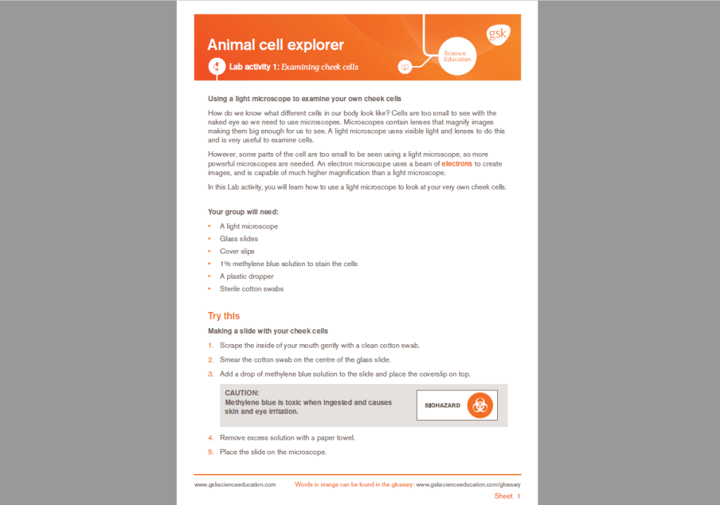 Cell Explorer Lab Activity 1: Examining Cheek Cells – for KS3 Science ...