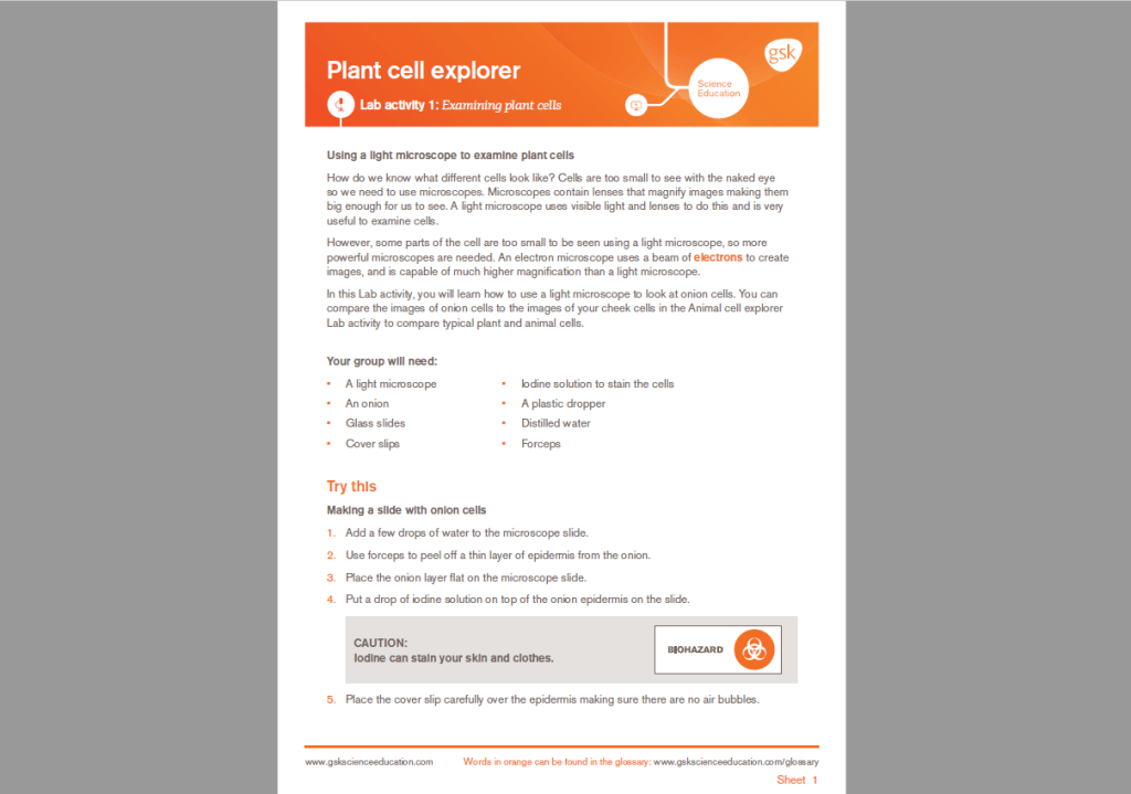 Cell Explorer Lab Activity 2: Examining Plant Cells – for KS3 Science ...