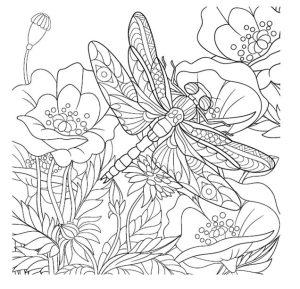 Colour & Write Sheets: Nature – Worksheet For KS1 English - Teachwire