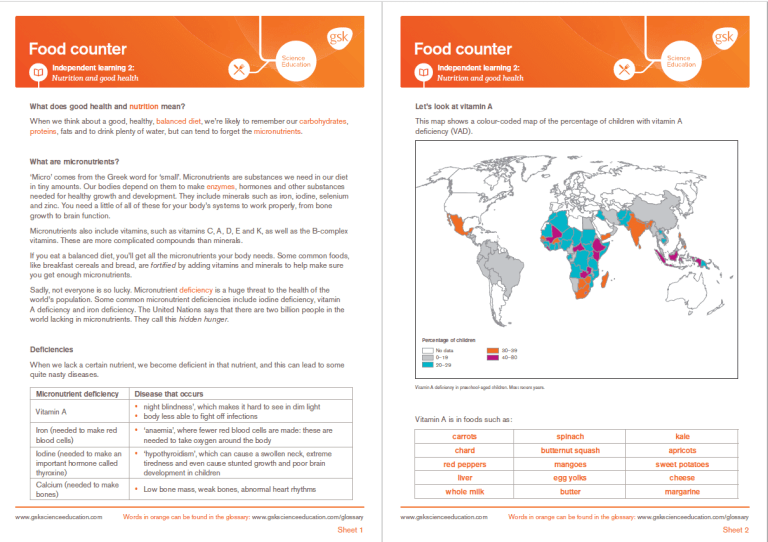 Food Counter Independent Learning 2: Nutrition and Good Health – for ...