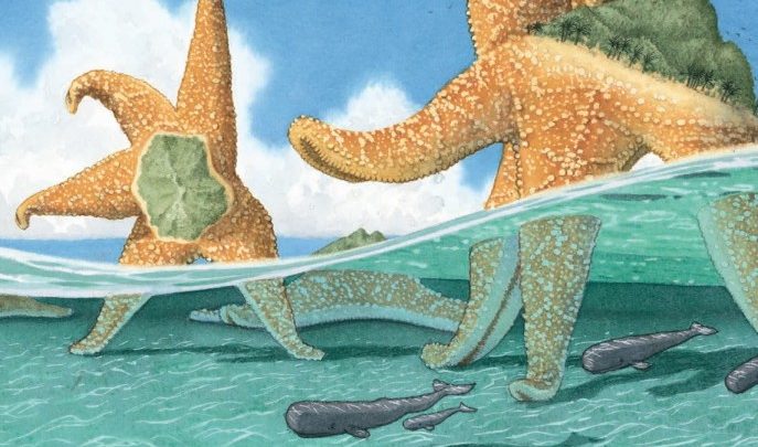 Flotsam books for topics KS2 – Explore science, geography, history and ...