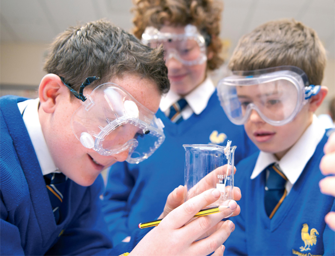 KS4 Science Lesson Plan – Investigate The Function And Uses Of The ...