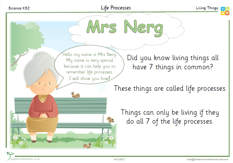 Learn about Life Processes in Year 4 Science with Mrs Nerg - Teachwire