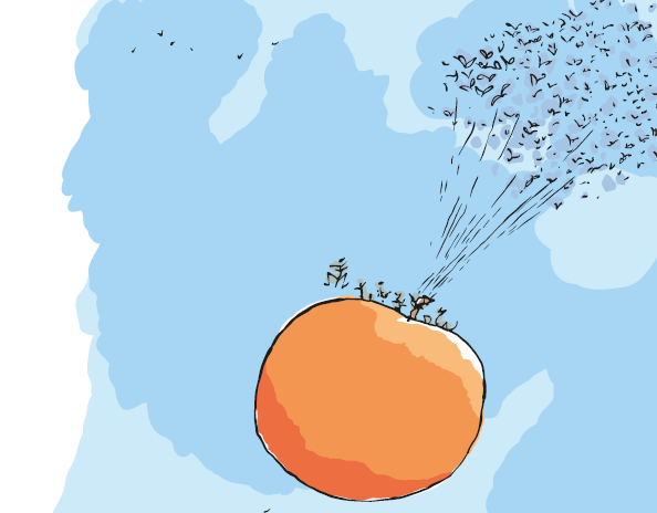 KS2 Science Lesson Plan – See Who Can Make the Biggest Seagull Splat ...