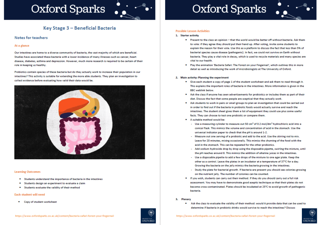 KS3 Science Lesson – Beneficial Bacteria - Teachwire