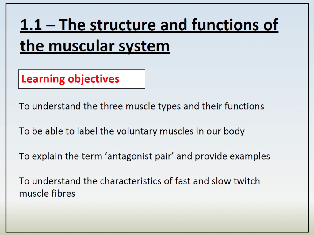 New Specification KS4/GCSE PE Muscular System – PowerPoint and ...