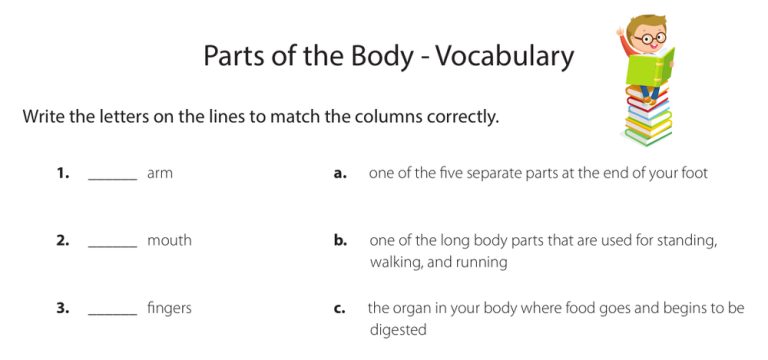 Parts of the Body – Anatomy-Themed Vocabulary Worksheet For KS1 - Teachwire