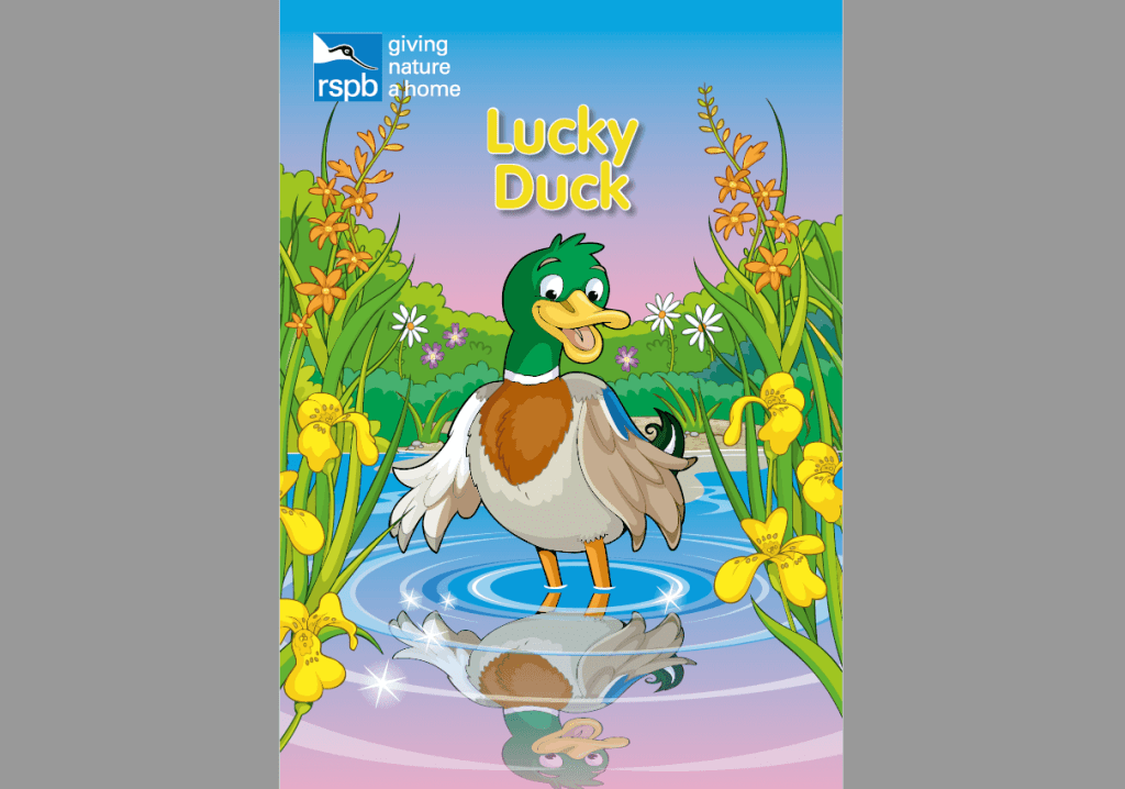 Lucky Duck Story Book – Identify Common Birds for Reception and KS1 ...
