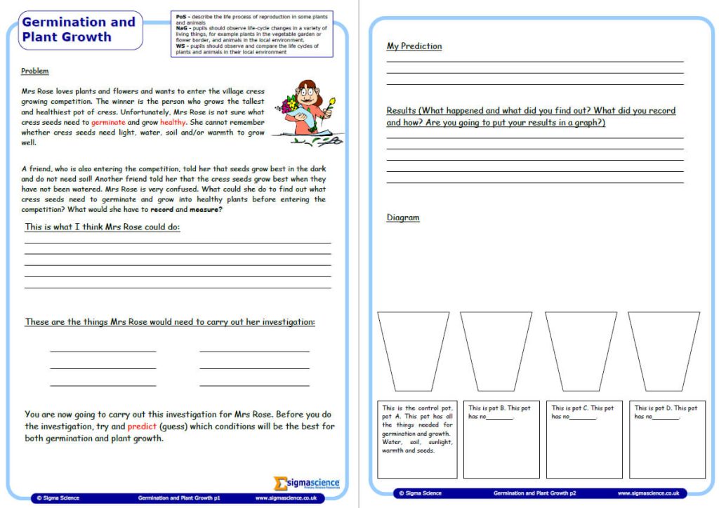 Germination and Plant Growth Worksheet – Cress-Growing Activity for ...