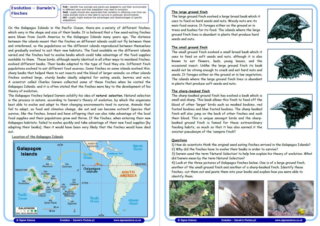 Charles Darwin Galapagos Islands worksheets – Introduce evolution in ...