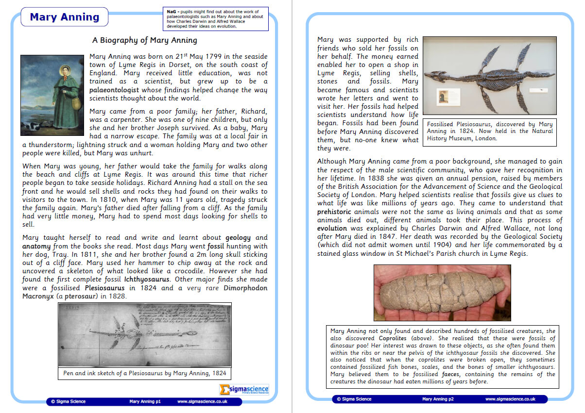 Biography of palaeontologist Mary Anning for Year 6 science - Teachwire