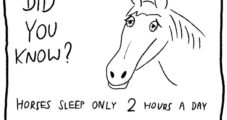 4 fun ways to teach facts in primary school - Teachwire