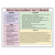 Whole class feedback – Year 11 example PDF - Teachwire