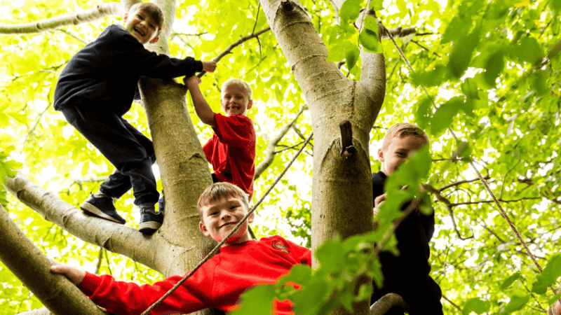 Onwards and upwards – How to make and measure progress in a single ...