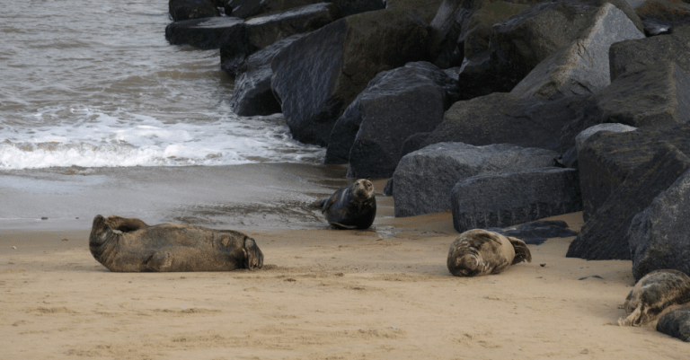 The Horstead Centre - Teachwire