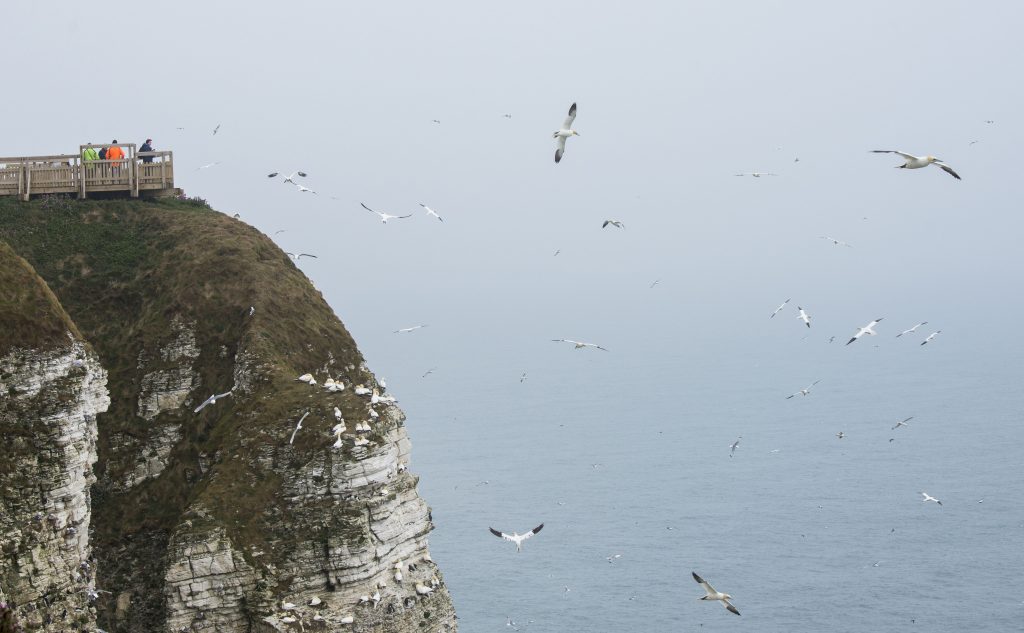 Nature Reserve Archives - Teachwire