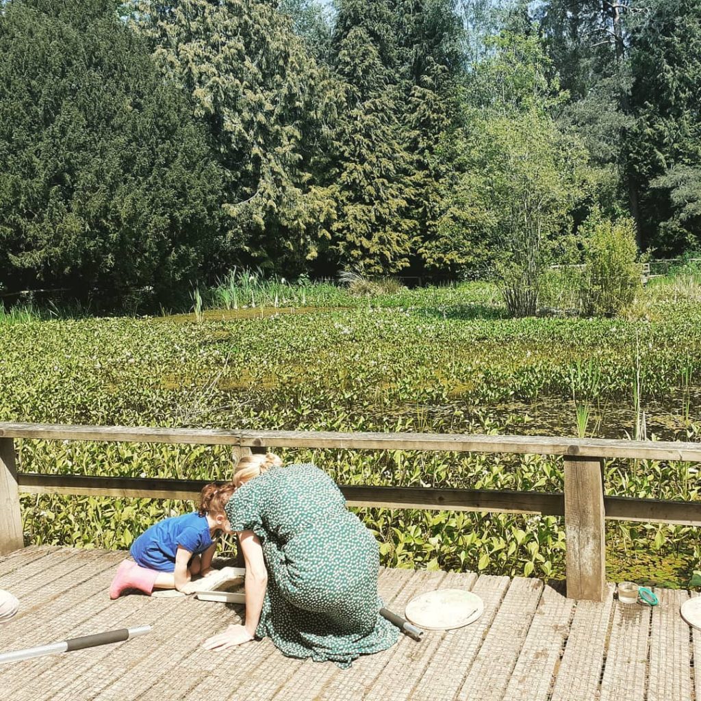 Workshop Archives - Teachwire