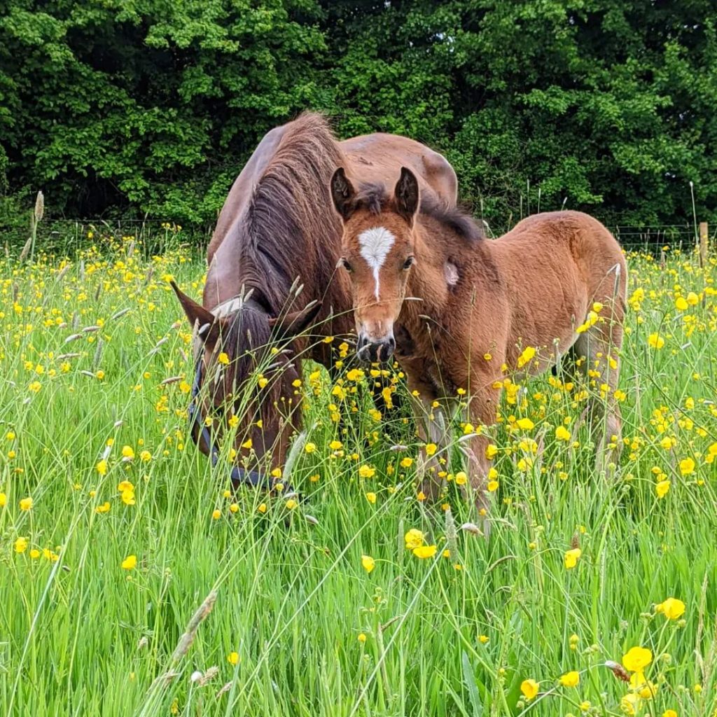 EYFS – Communication & Language Archives - Teachwire