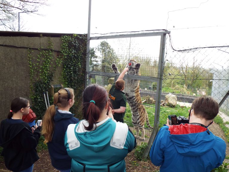 EYFS – Communication & Language Archives - Teachwire