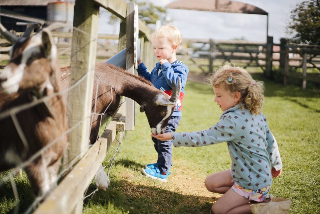 The Horstead Centre - Teachwire