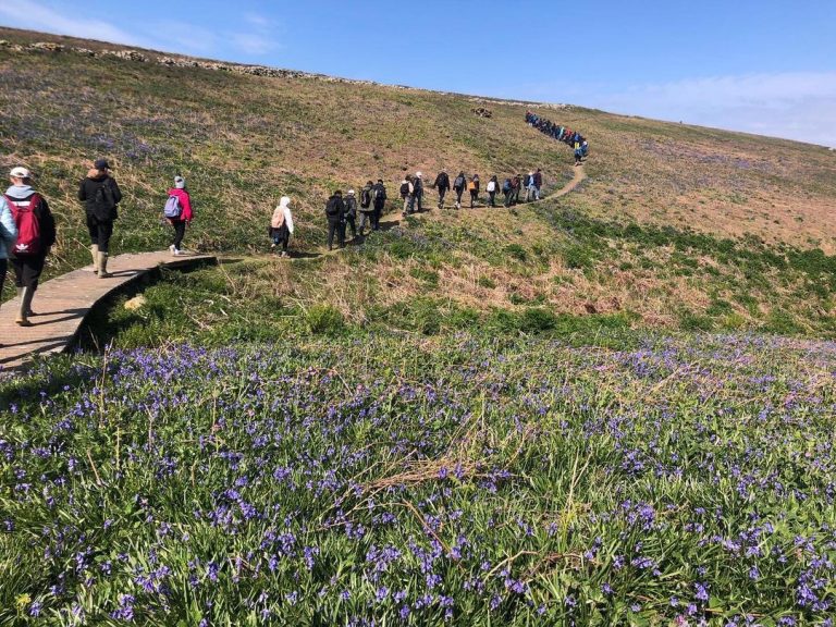 Field Studies Council – Margam Discovery Centre - Teachwire