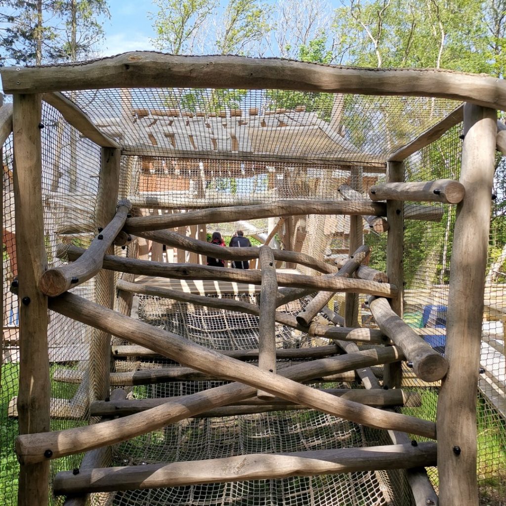 Inspiresport - Teachwire