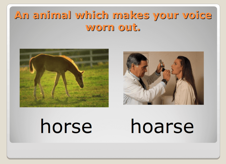 Homophones KS2 – 9 of the best SPaG resources for English - Teachwire