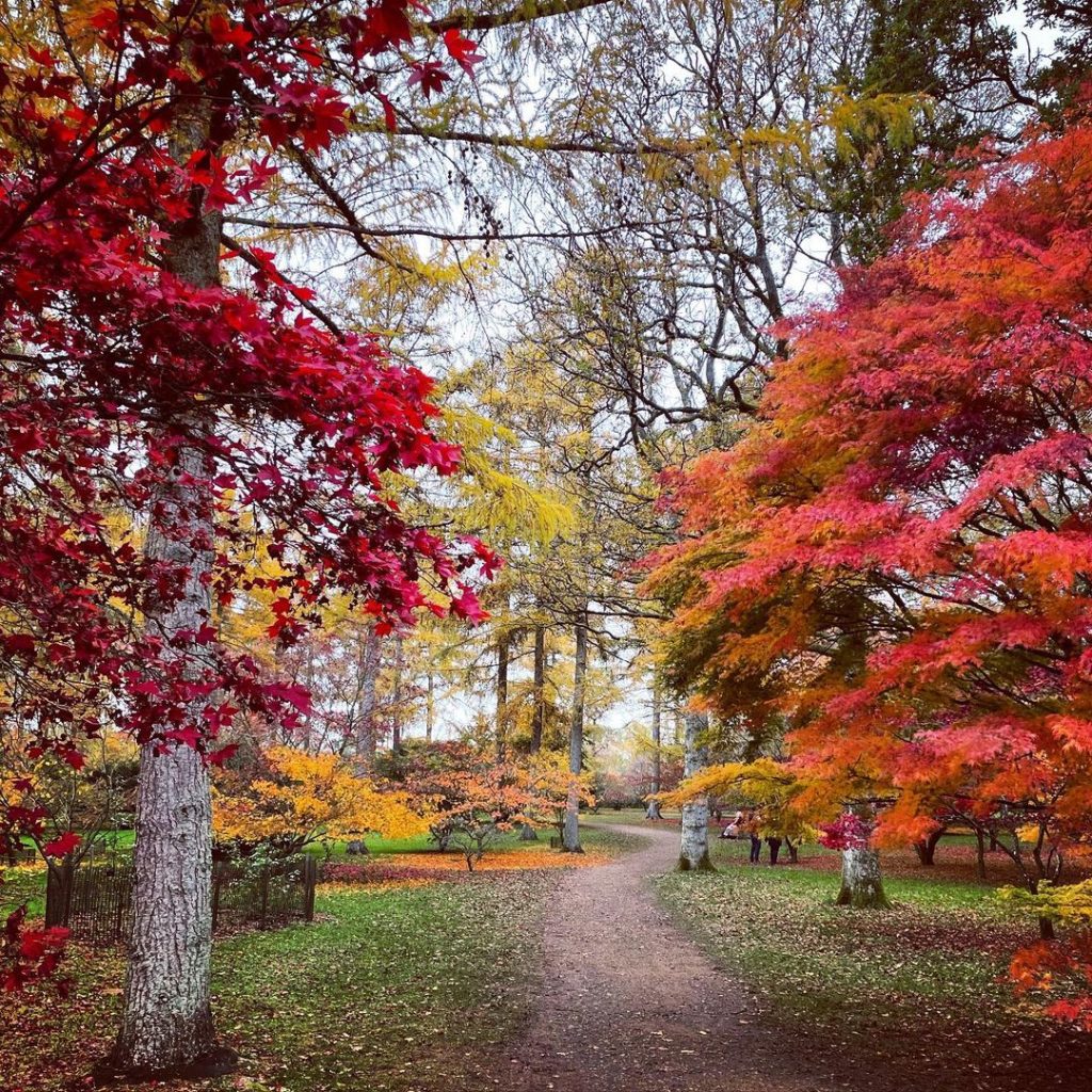 Park & Garden Archives - Teachwire