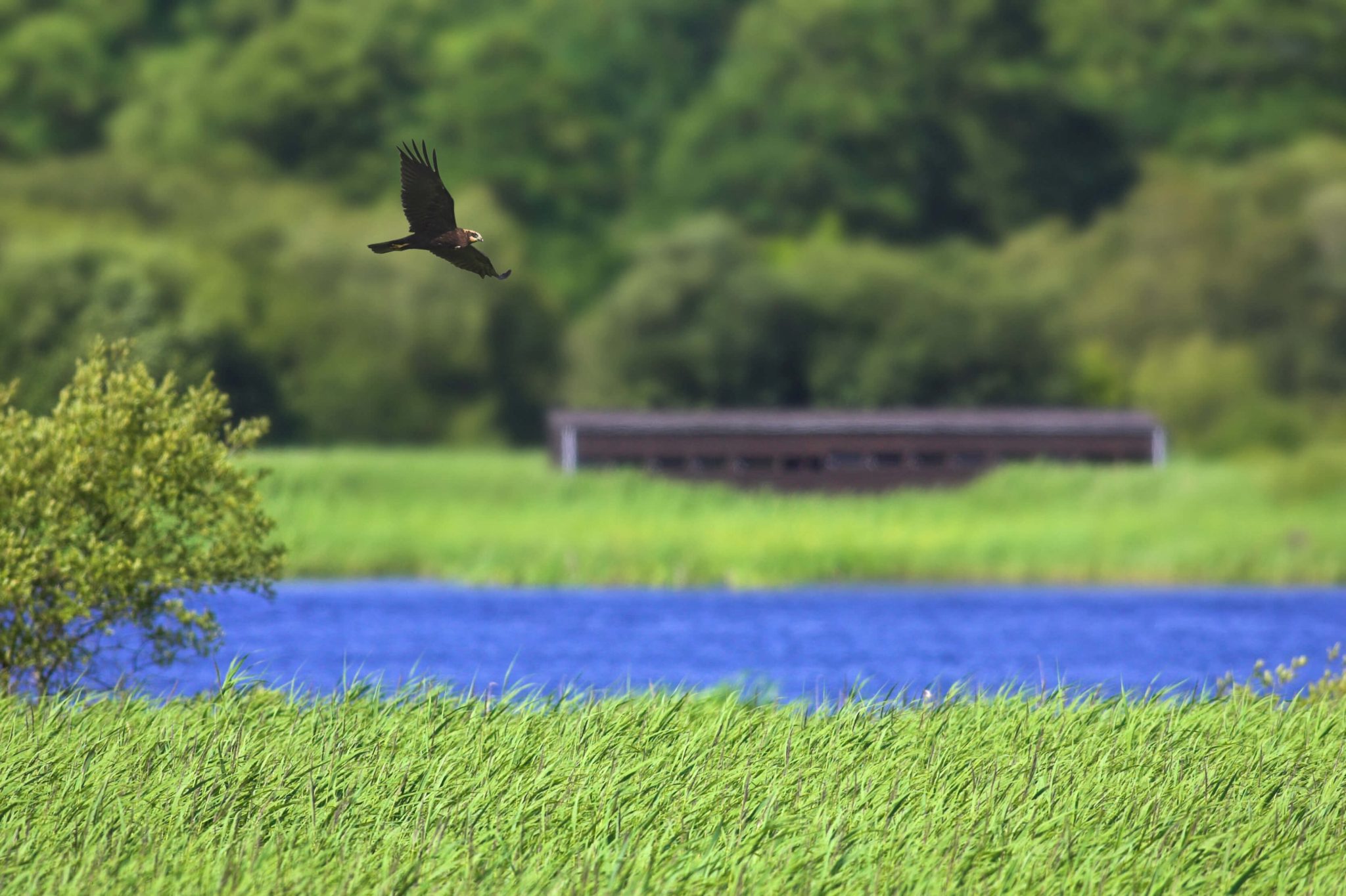 EYFS – Communication & Language Archives - Teachwire