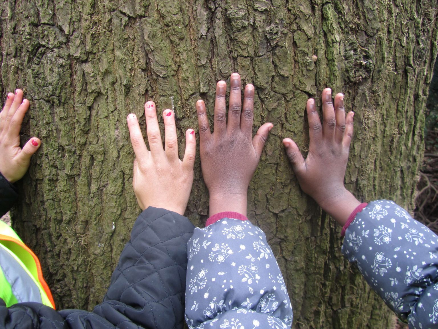 EYFS – Communication & Language Archives - Teachwire