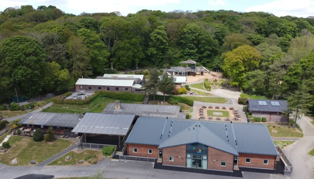 D&T Archives - Teachwire