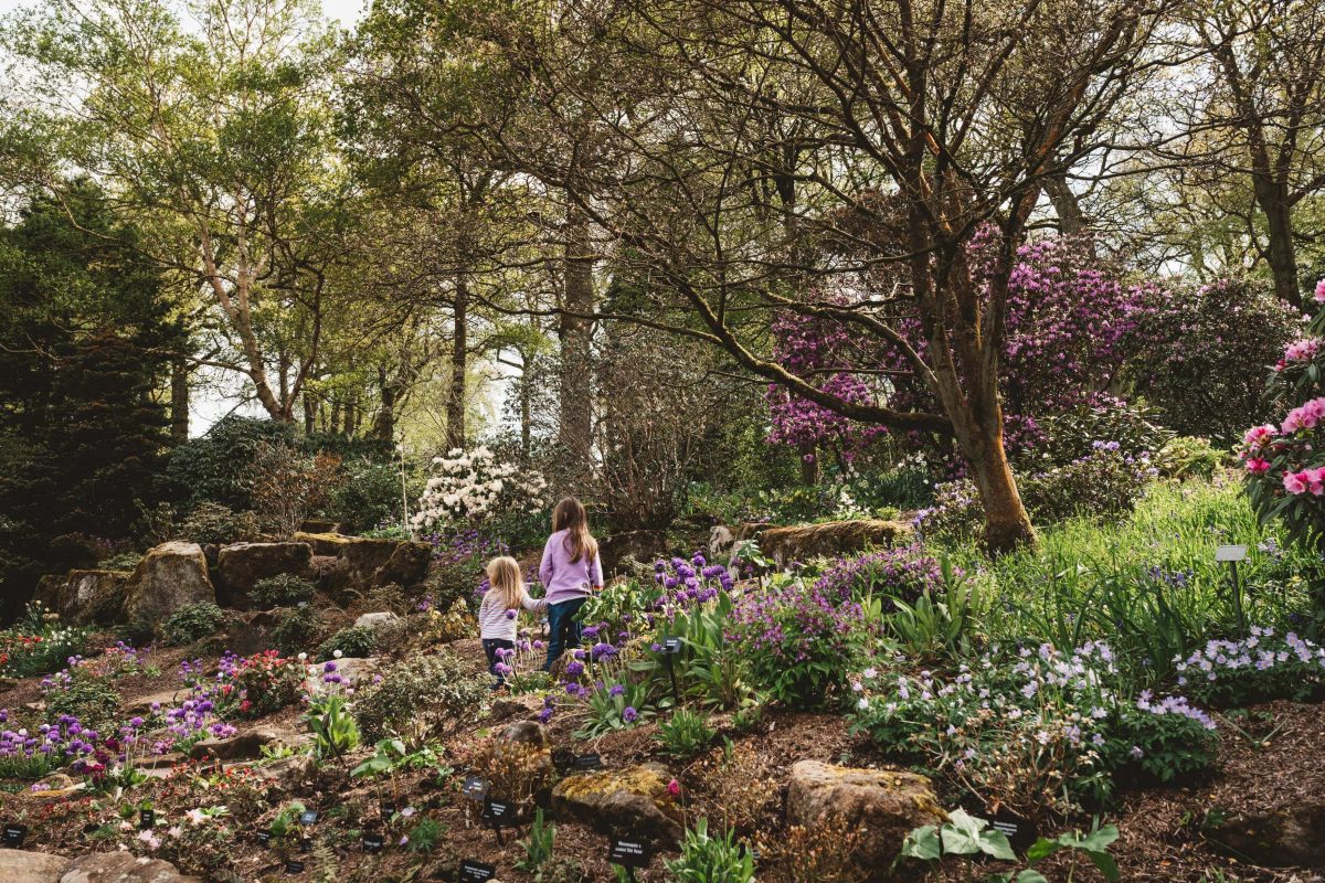 EYFS – Communication & Language Archives - Teachwire