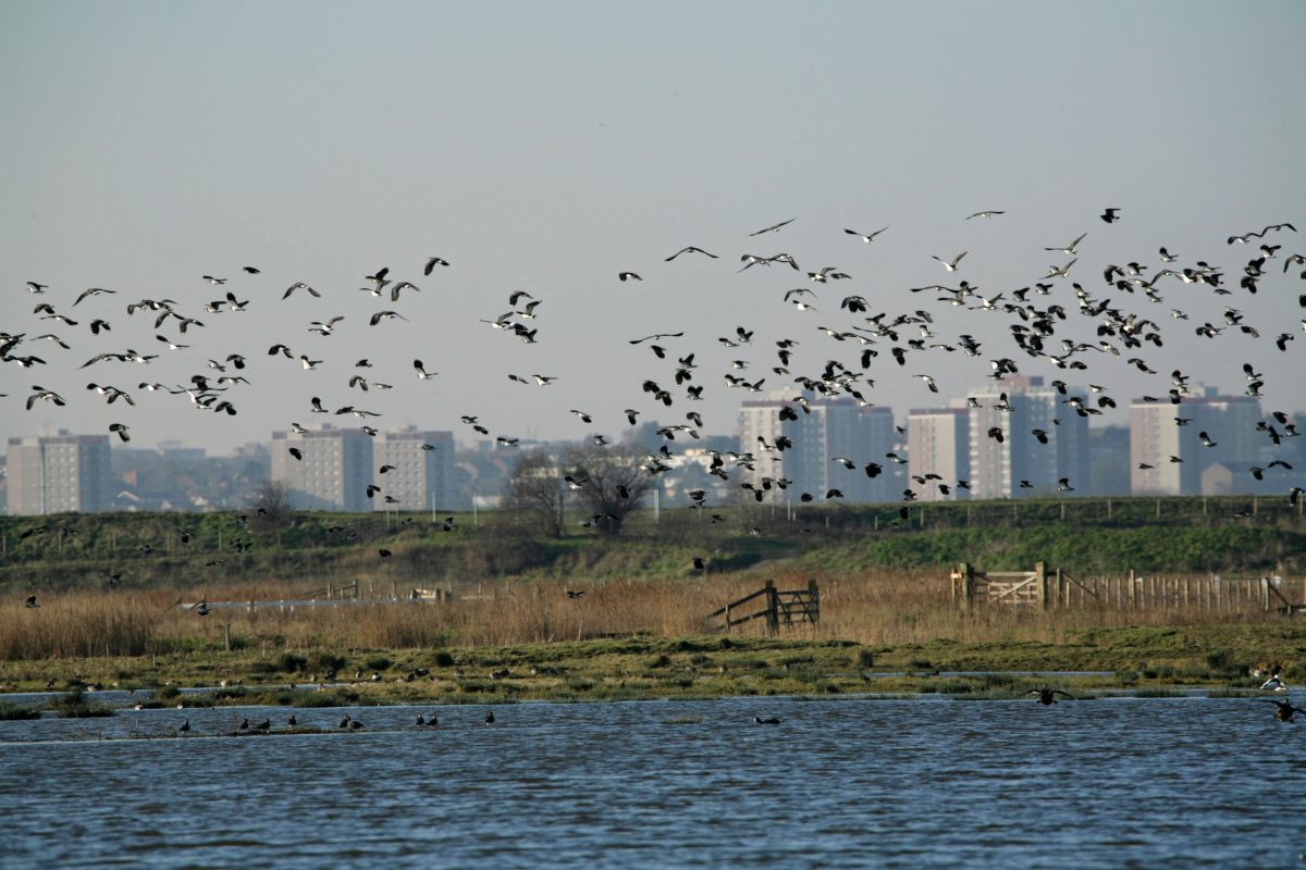 Nature Reserve Archives - Teachwire