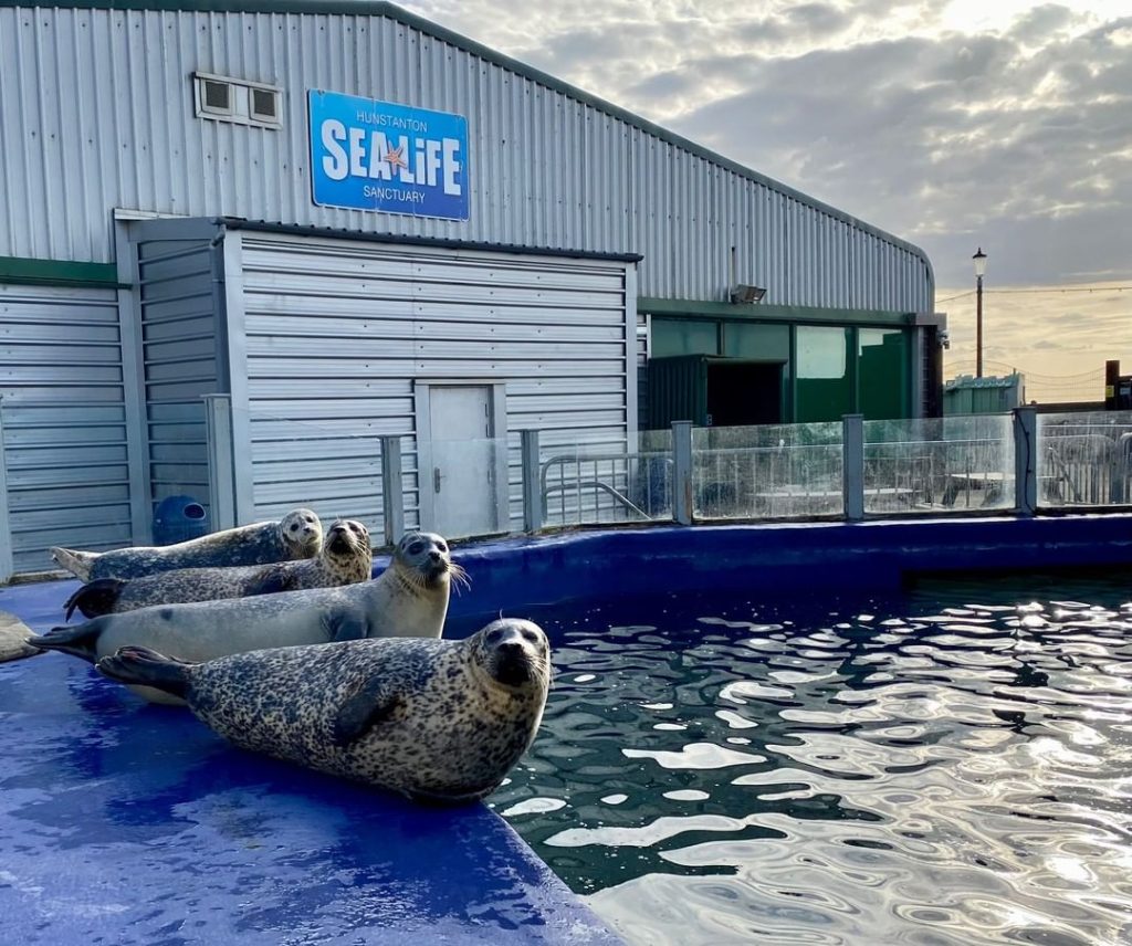 The Horstead Centre - Teachwire