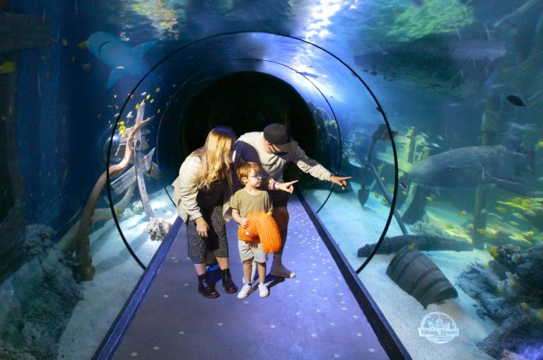 Travel & Tourism Archives - Teachwire